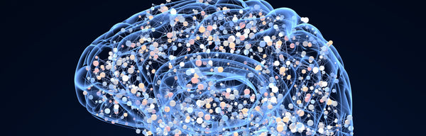 Reversing Aging in Brain Cells - Life Code