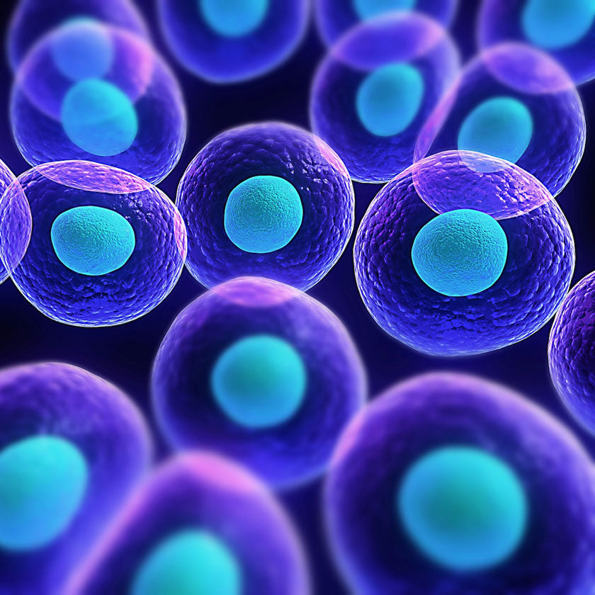 Life Code Stem Cell 100 Supplements Rejuvenation Anti-Aging, Longevity